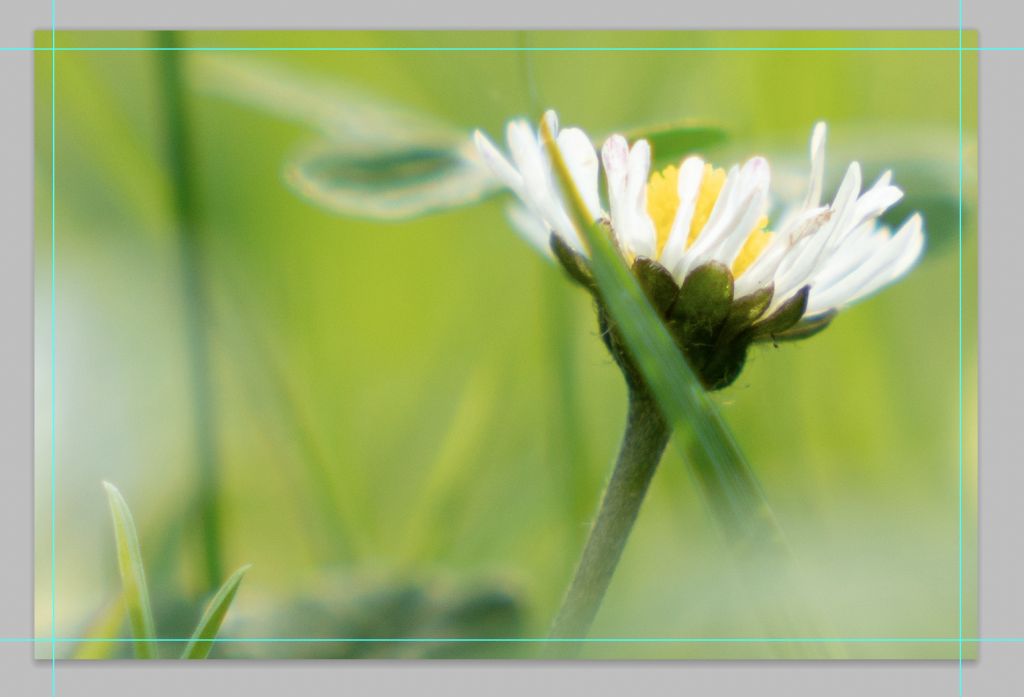 Was ist Beschnitt? - Drucktechnische Expertise für Fotografie & Kunst